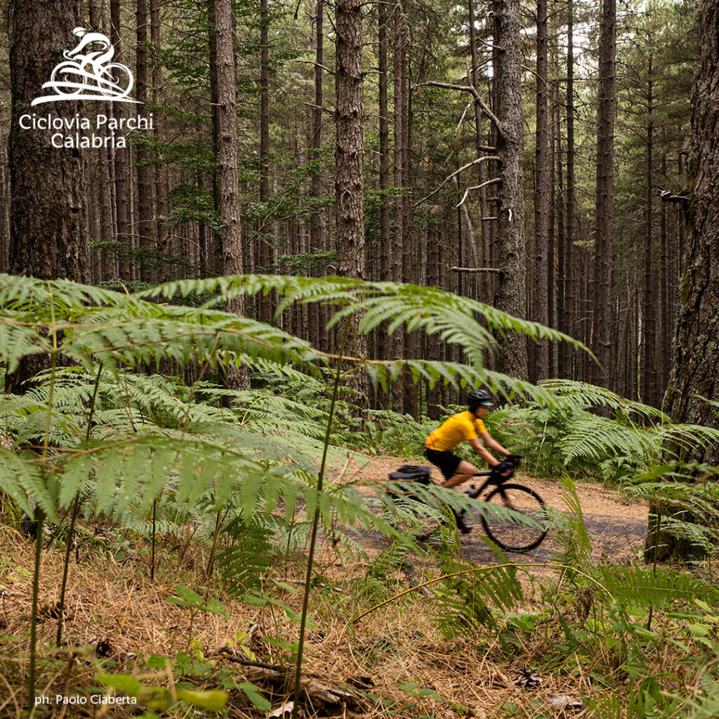 Fiera del Cicloturismo - Fiera del Cicloturismo
